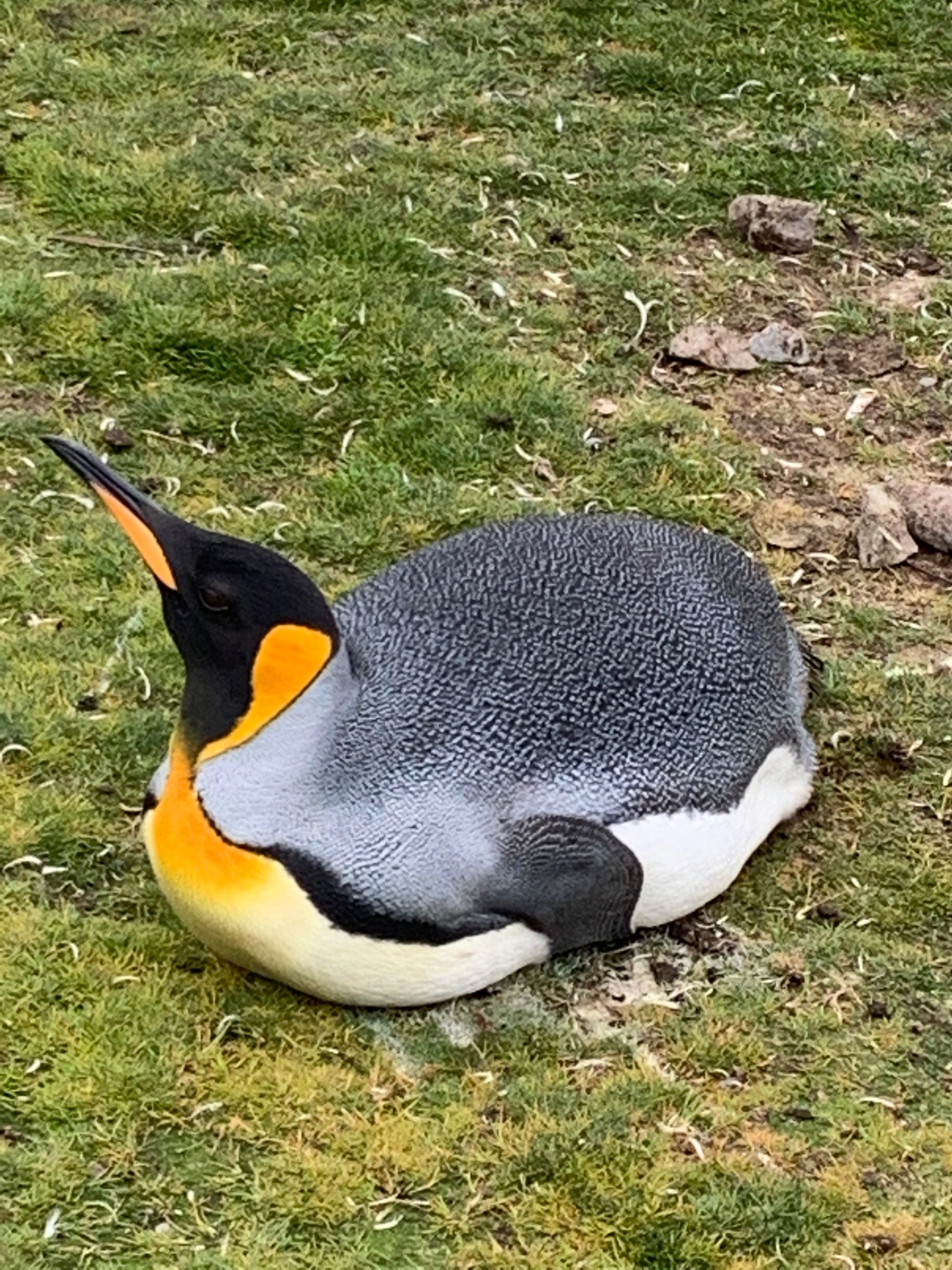 The Virus at Sea | FRONTLINE | PBS